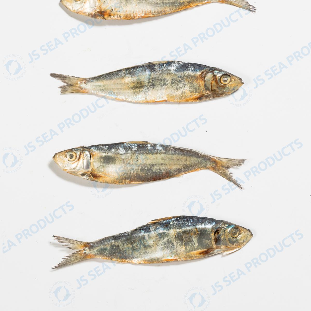 Tonsoy | JS SEA PRODUCTS