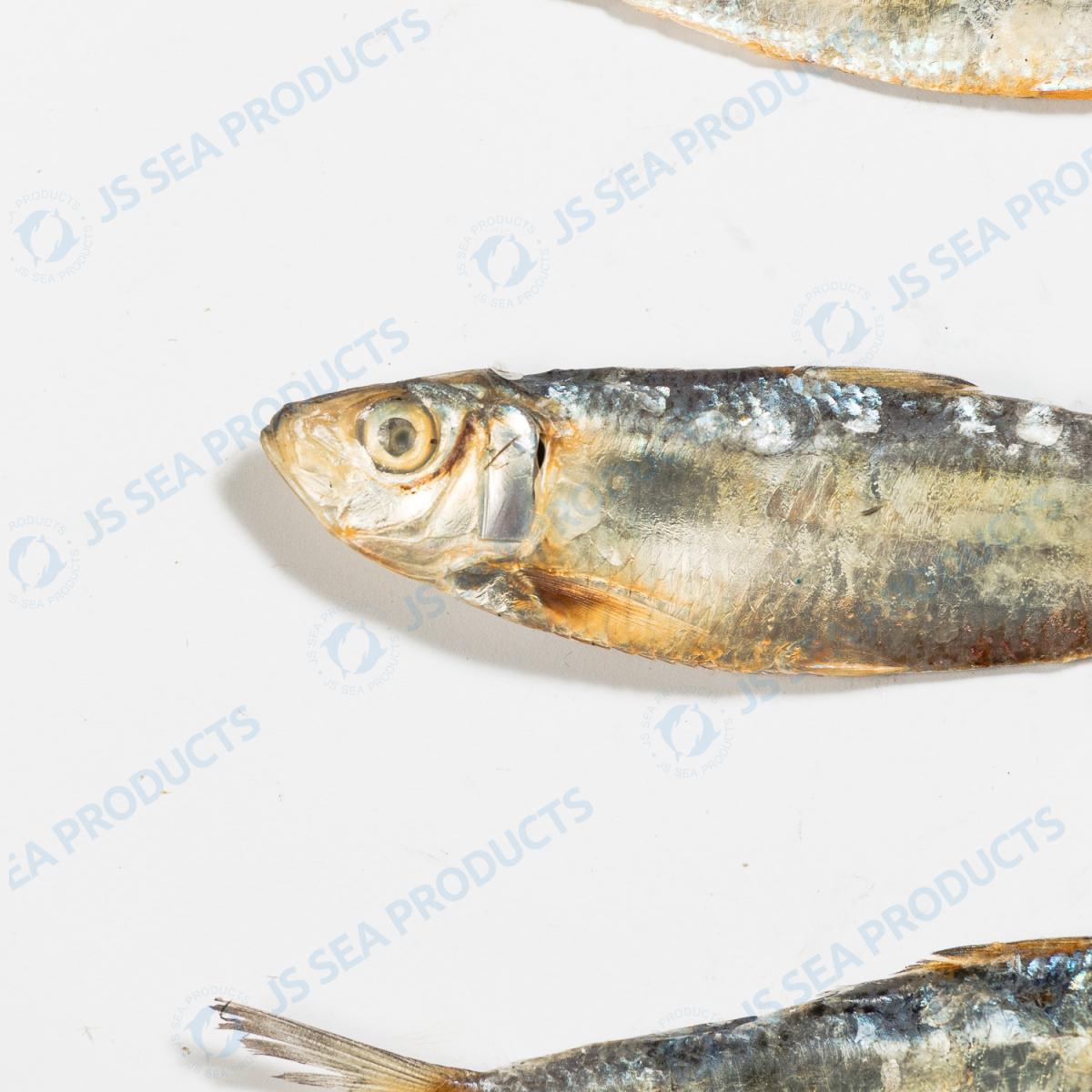 Tonsoy | JS SEA PRODUCTS